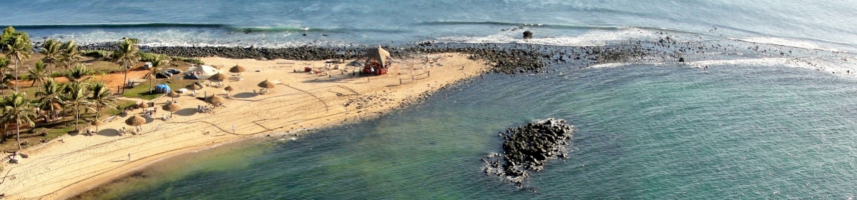 Best Time to Visit Senegal (Climate Chart and Table)