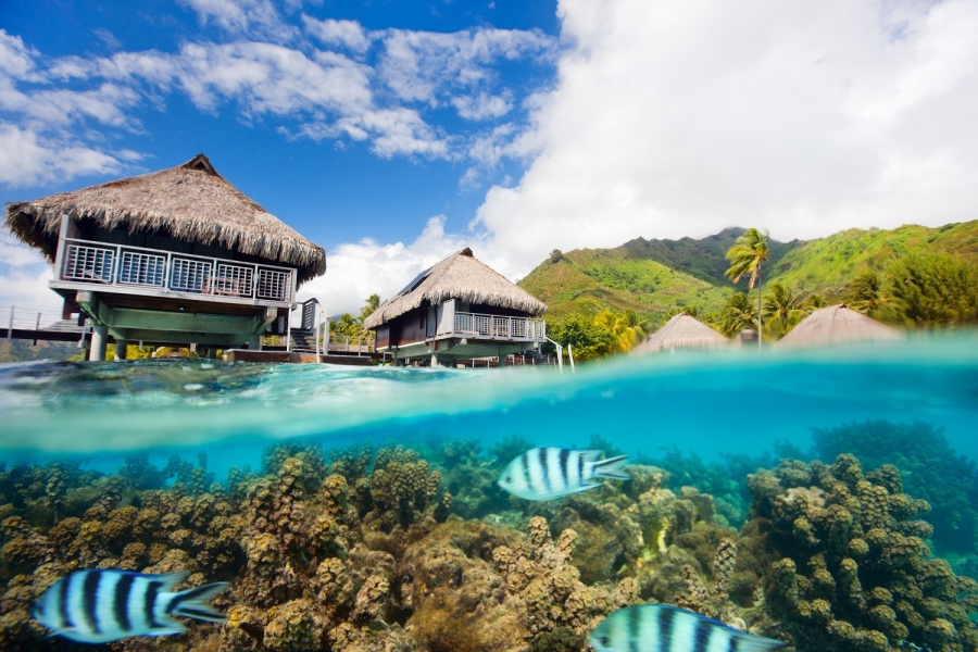Best Time to Visit Moorea (Climate Chart and Table)